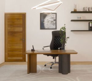 Modern House Design in Mauritius - Flipxagon